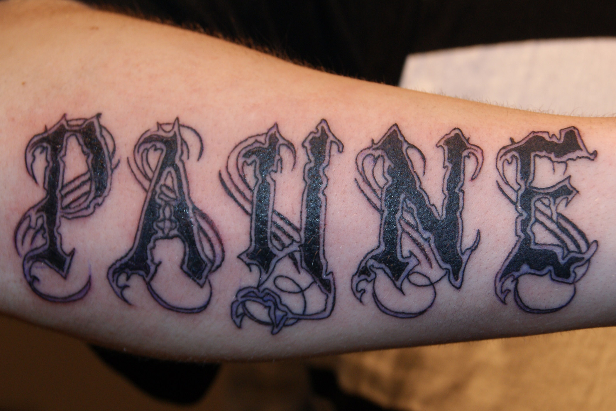 Warren Oliver Tattoos The skull from Warren Zevon's album covers by ...