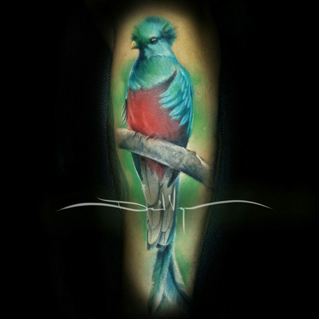 Resplendent Quetzal Tattoo
